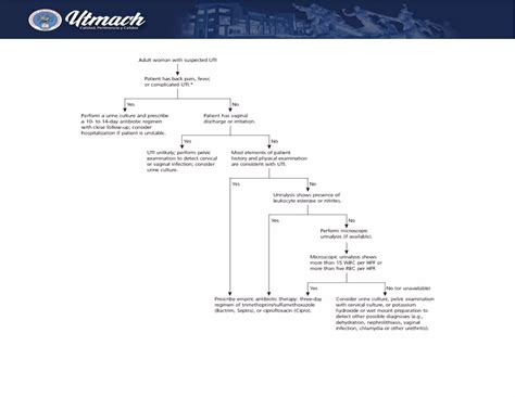 Infection Of The Urinary Tract Algorithm Ppt