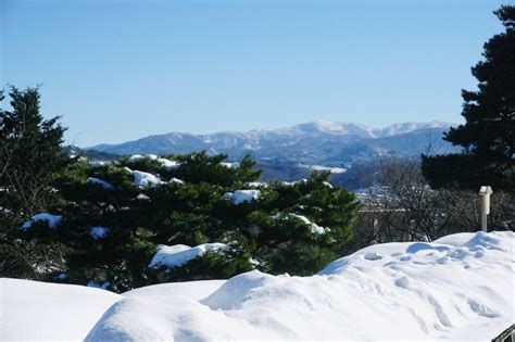 兼六園（冬）｜写真ダウンロード｜【公式】石川県の観光旅行サイト「ほっと石川旅ねっと」