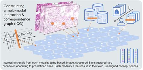 Towards Multi Modal Causability With Graph Neural Networks Enabling