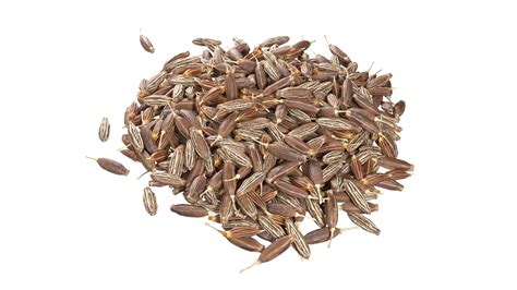 Cumin And Caray Set Flippednormals