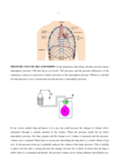 SOLUTION Lecture Notes On Human Respiratory System Physiology Studypool
