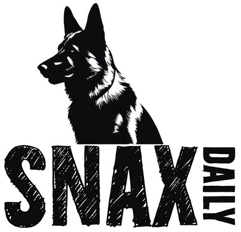 Snax Daily Pełnowartościowy Posiłek Dla Twojego Psa