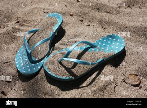 Sexy Girls Wearing Flip Flops Telegraph