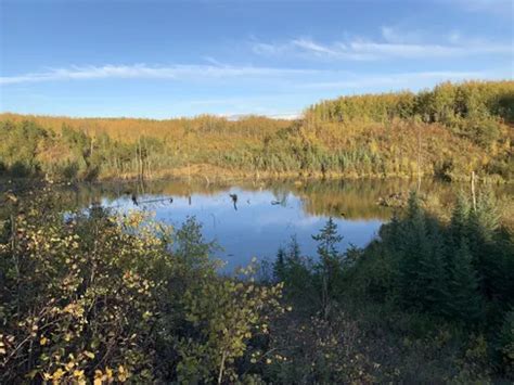 Best River Trails In Nipawin AllTrails