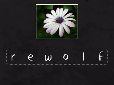 Parts Of A Plant Anagram