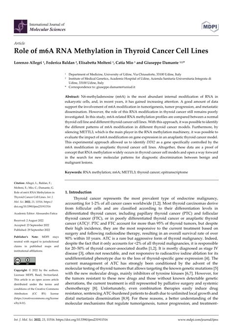 Pdf Role Of M6a Rna Methylation In Thyroid Cancer Cell Lines