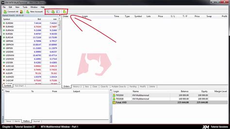 Freeforex Signals MT4 Tutorials MT4 Multiterminal Window Basics