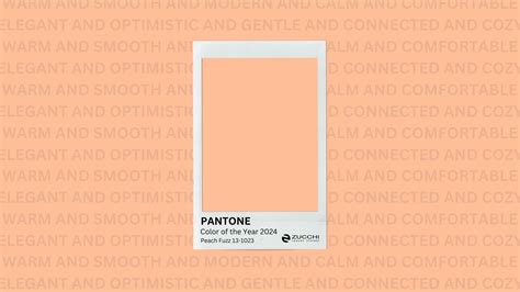Peach Fuzz The Softness And Versatility Of Pantones Color Of The Year