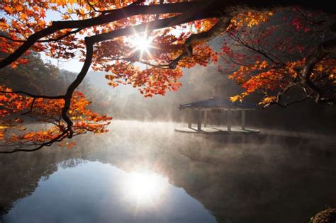 Jae Youn Ryu ФотоКто