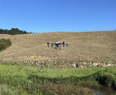 Invasive Weed Spraying Services Drone Weed Control Nz Agriuas