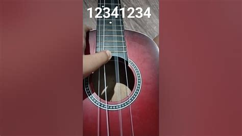 What Tuned Ukulele Youtube