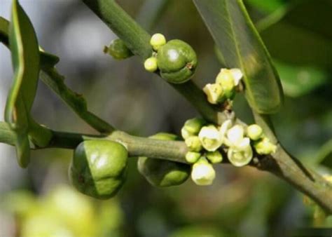 Chen Ming On Linkedin 持續成長