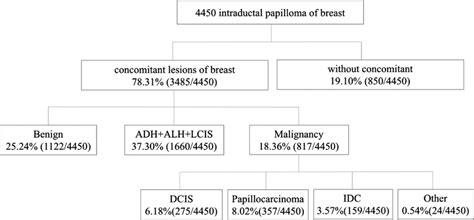 The Papilloma And Its Coexisting Breast Lesions This Chart Indicated