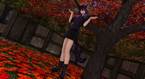 Nerdy Cute Eorzea Collection