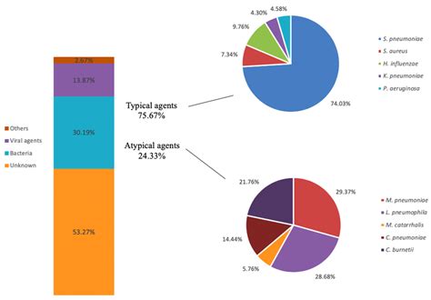 Distribution Of Various Etiologic Agents Of Cap N13673 On The Basis