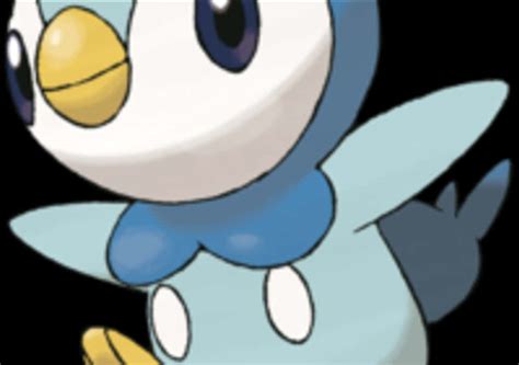 Download Piplup Pokemon Artwork