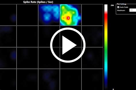 Seizure Liability Apconix