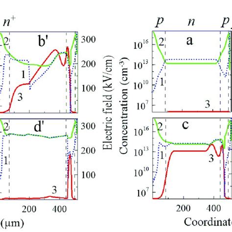 experimental solid curves and calculated dashed curves time