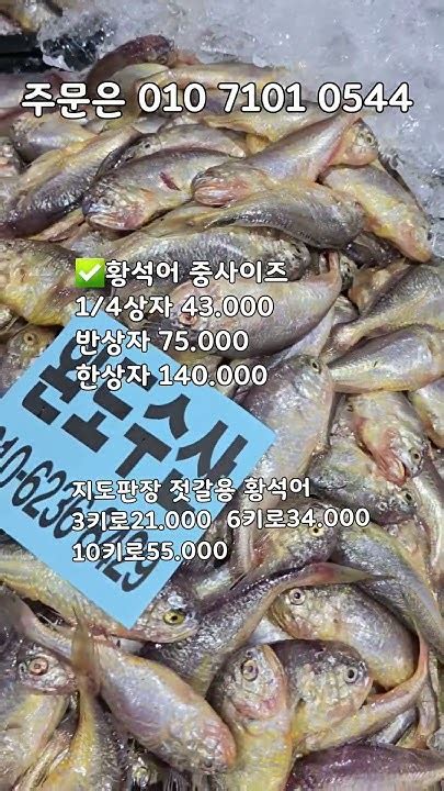 523일 황석어 철입니다 싱싱하고 맛있는 황석어 입니다 Youtube