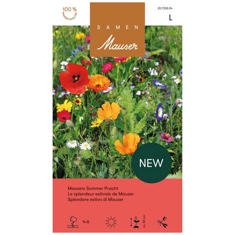 Samen Mauser Gönninger Sommerpracht Kaufen Bei Obi