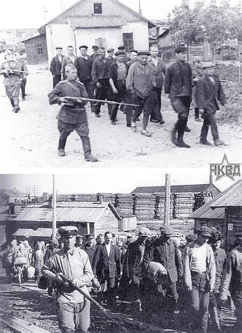 Tsogt Byambatseren🇺🇦 On Twitter Rt Festum11 Зөвлөлтийн цэрэг эзлэн авсан Аушвиц Бухенвальд