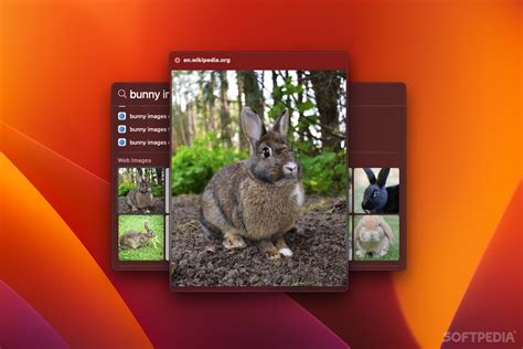 MacOS Ventura Review Small Improvements And Some Cool New Tricks