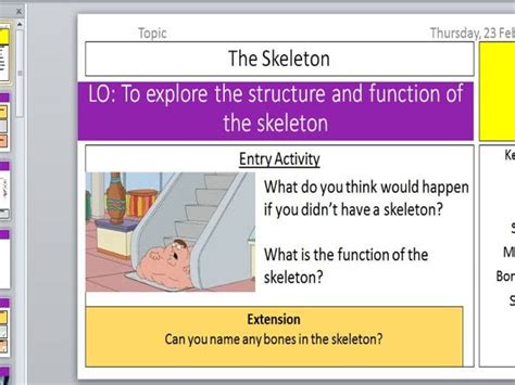 Muscles And Bones Ks3 The Skeleton And Muscles And Moving Teaching Resources