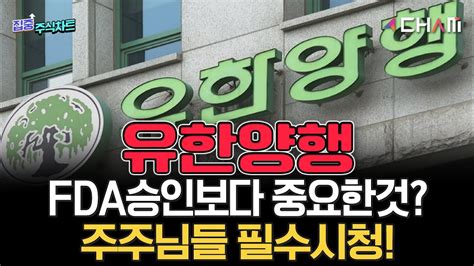 집중 주식차트 유한양행 Fda승인보다 중요한것 주주님들 필수시청 Youtube