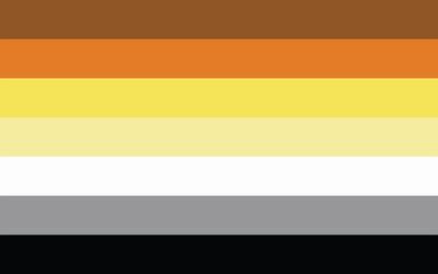 Bear Brotherhood Pride Flag Sexual Identity Vector Image