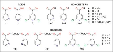 Simple Modifications Of Nicotinic Isonicotinic And 2 6 Dichloroisonicotinic Acids Toward New
