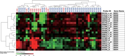 Unsupervised Hierarchical Cluster Analysis Of Hlh Patients And Healthy Download Scientific
