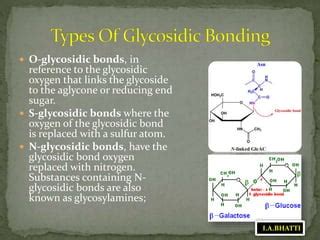 N Glycosidic Bond