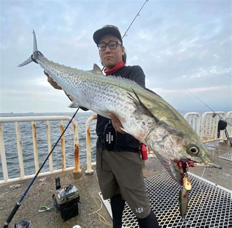 【南港魚釣り園護岸】今日もサゴシ祭り開催中！！ フィッシングマックス 関西の釣果大阪･神戸･和歌山の釣果情報