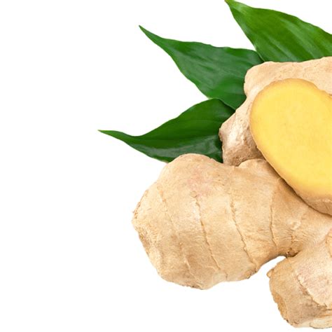 Ginger Root Blackwood For Men