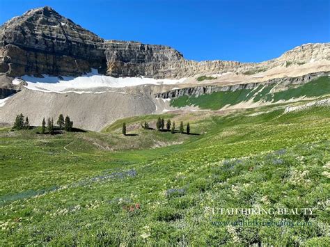 Mount Timpanogos From Timpooneke Trailhead Utah Hiking Beauty