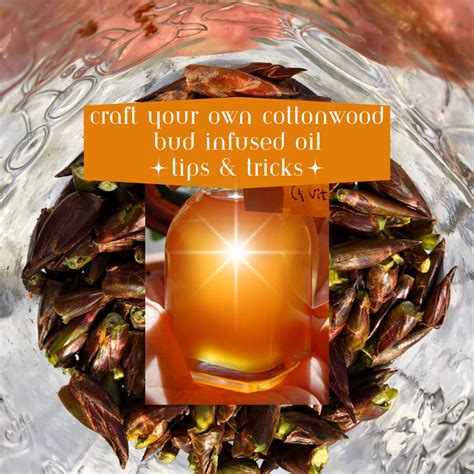 Haven Making Using Plant Magic To Create Sanctuary — Archaic Joy