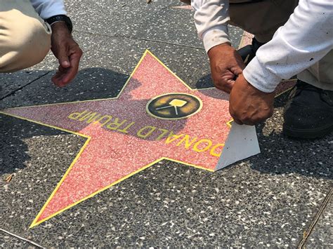 Multiplicada Por Decenas Resucitaron La Estrella De Trump En El