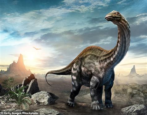 Sauropod Dinos Replaced Simple Teeth Faster Than Complex Teeth Big