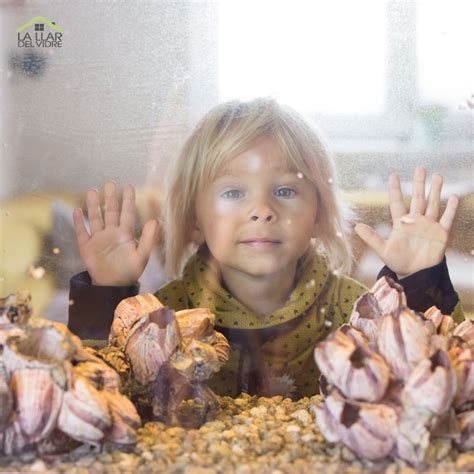 La Llar Del Vidre En Linkedin Lallardelvidre Vidrio Ventavidrio Instalacionvidrio Cristal…