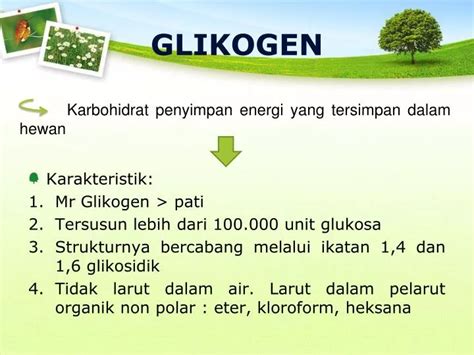 Ppt Glikogen Powerpoint Presentation Free Download Id6283664