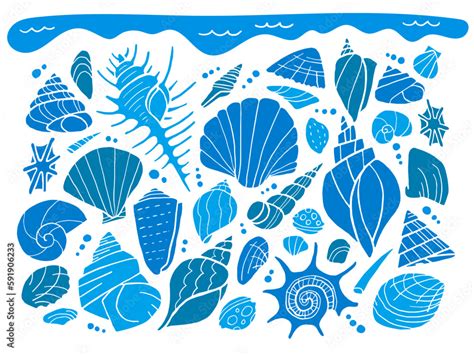 Vetor De 貝殻のイラストセット Do Stock Adobe Stock