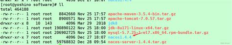 【java】centos7配置nacos开机自启动并后台运行（包含使用docker运行nacos） 阿里云开发者社区
