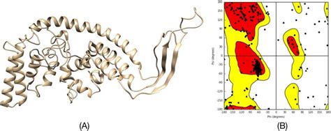 tertiary structure prediction and validation of vaccine construct v4