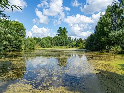 Pond Water Nature Free Photo On Pixabay Pixabay