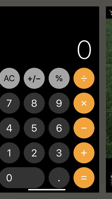 Bug IPhone X Home Bar Appearing On IPhone 8 Briefly While Switching