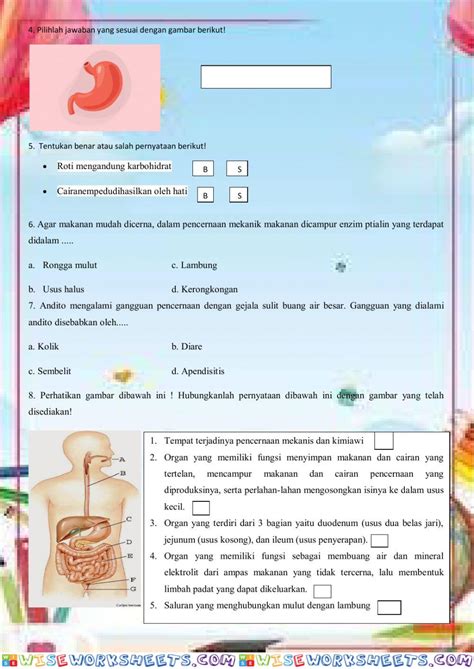Sistem Pencernaan Worksheet Online Wiseworksheets