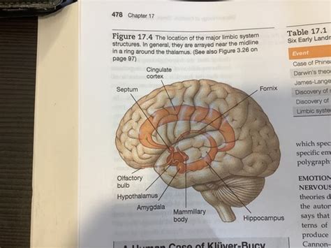 Emotions Flashcards Quizlet