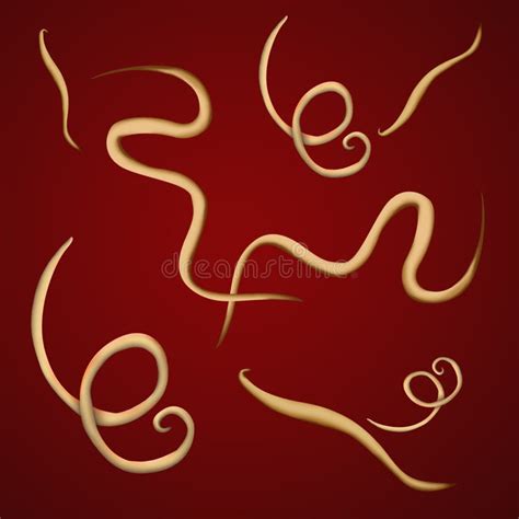 Illustration Of Helminths On Color Background Parasites In Human Body
