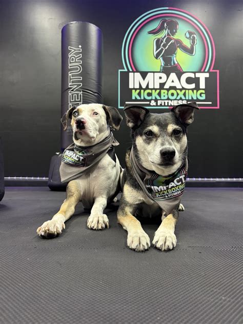 Danielle Pinto Danielle Pinto Added A New Photo