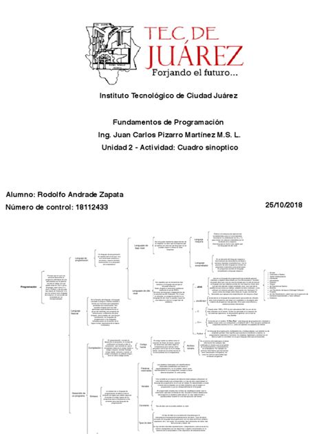 U2 Actividad Cuadro Sinoptico Pdf Lenguaje De Programación Tipo De Datos